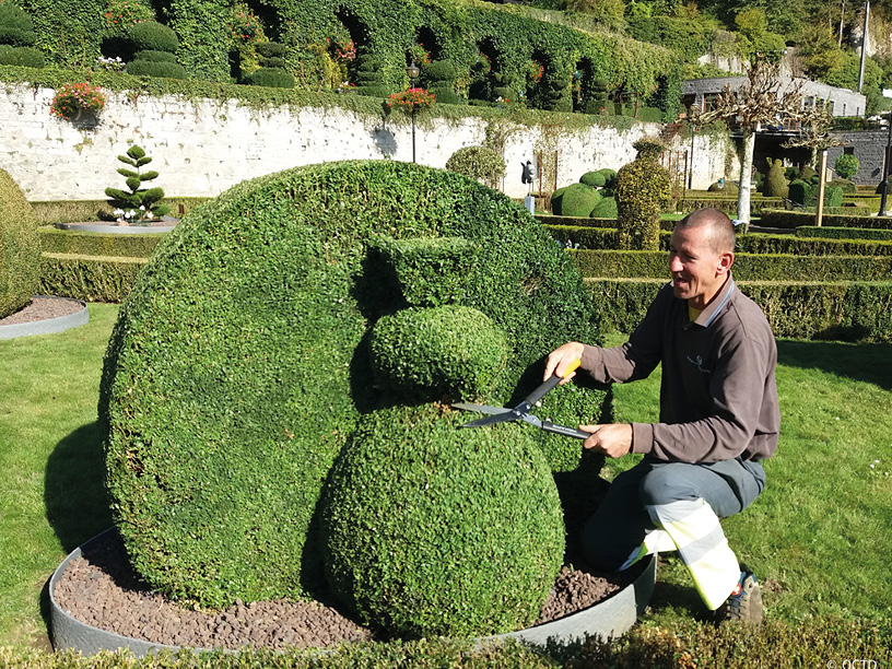 Topiary kunst - Topiaires